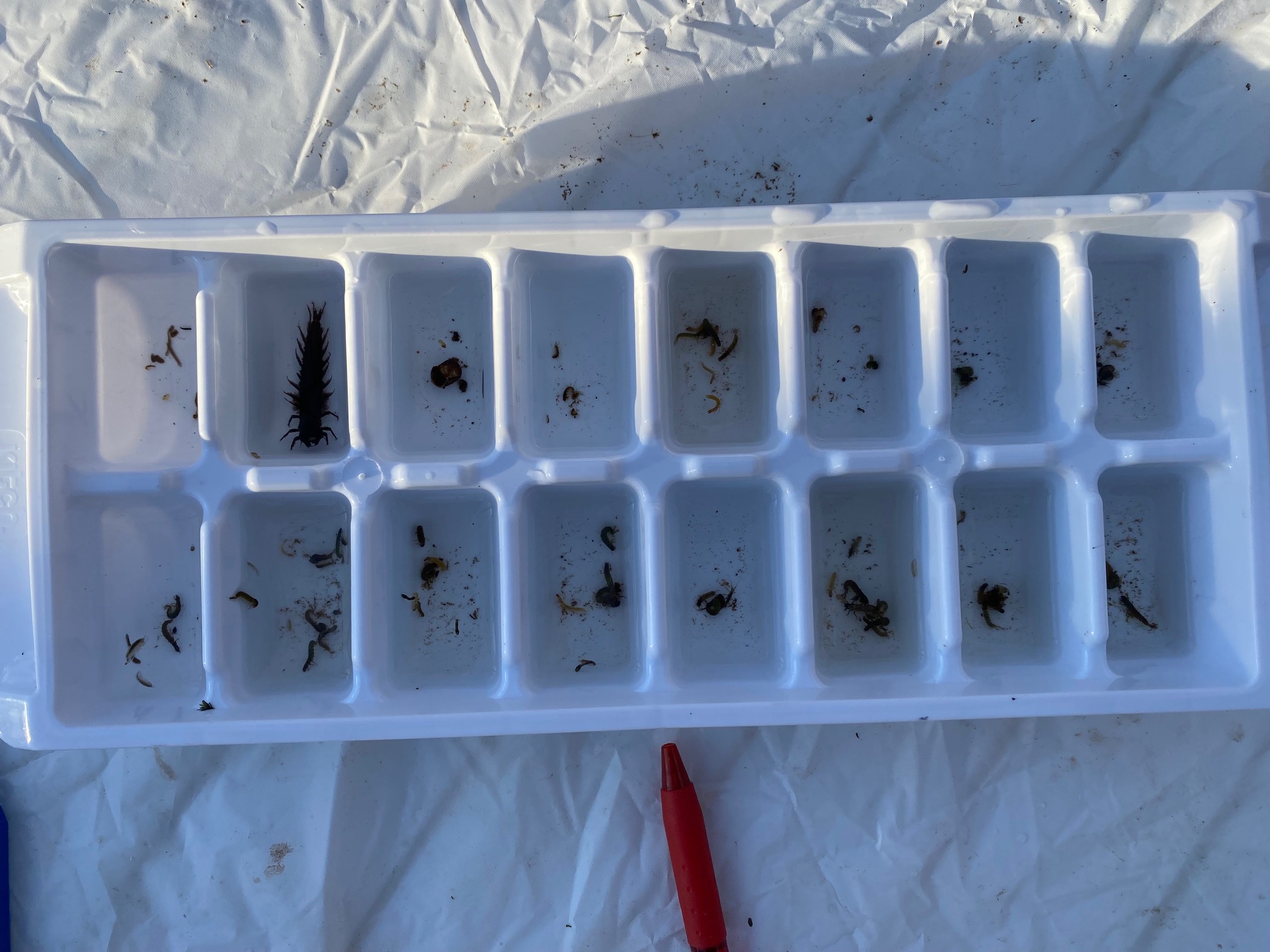 Stream Monitoring Object Detection Dataset by Stream Monitoring