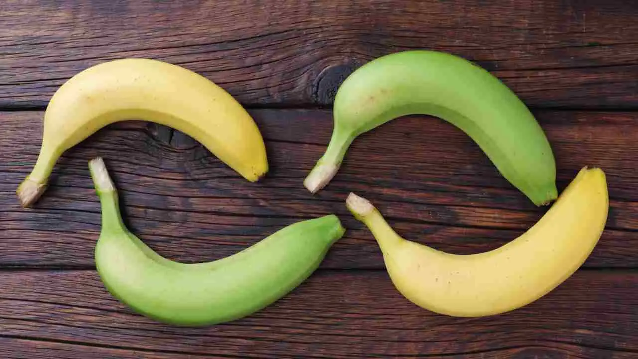 Fruits Project Object Detection Model by nusa putra univeraity