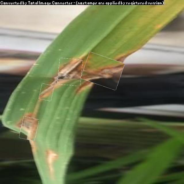 How to Use the humay-ai-rice-diseases Object Detection API