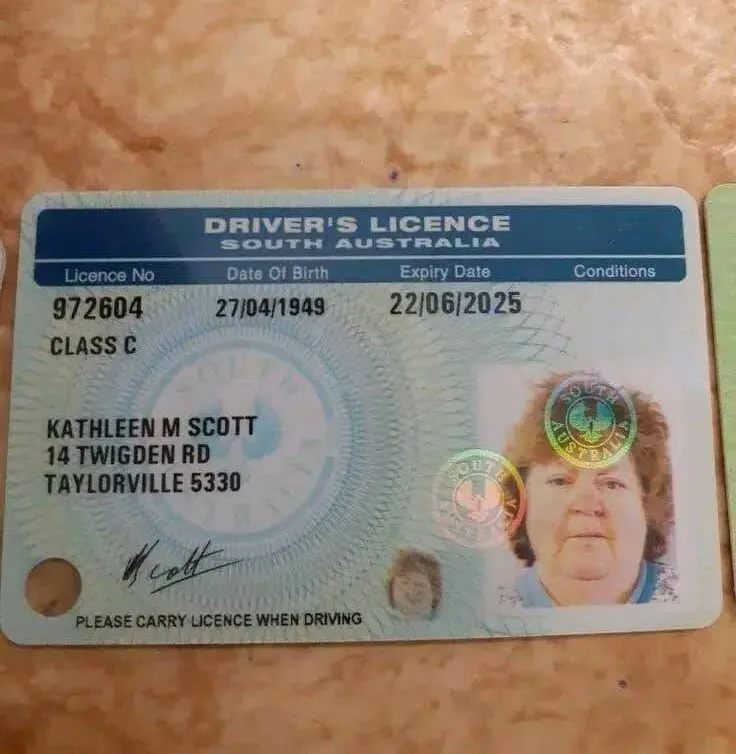 Driver's licence Object Detection Dataset by John Smith