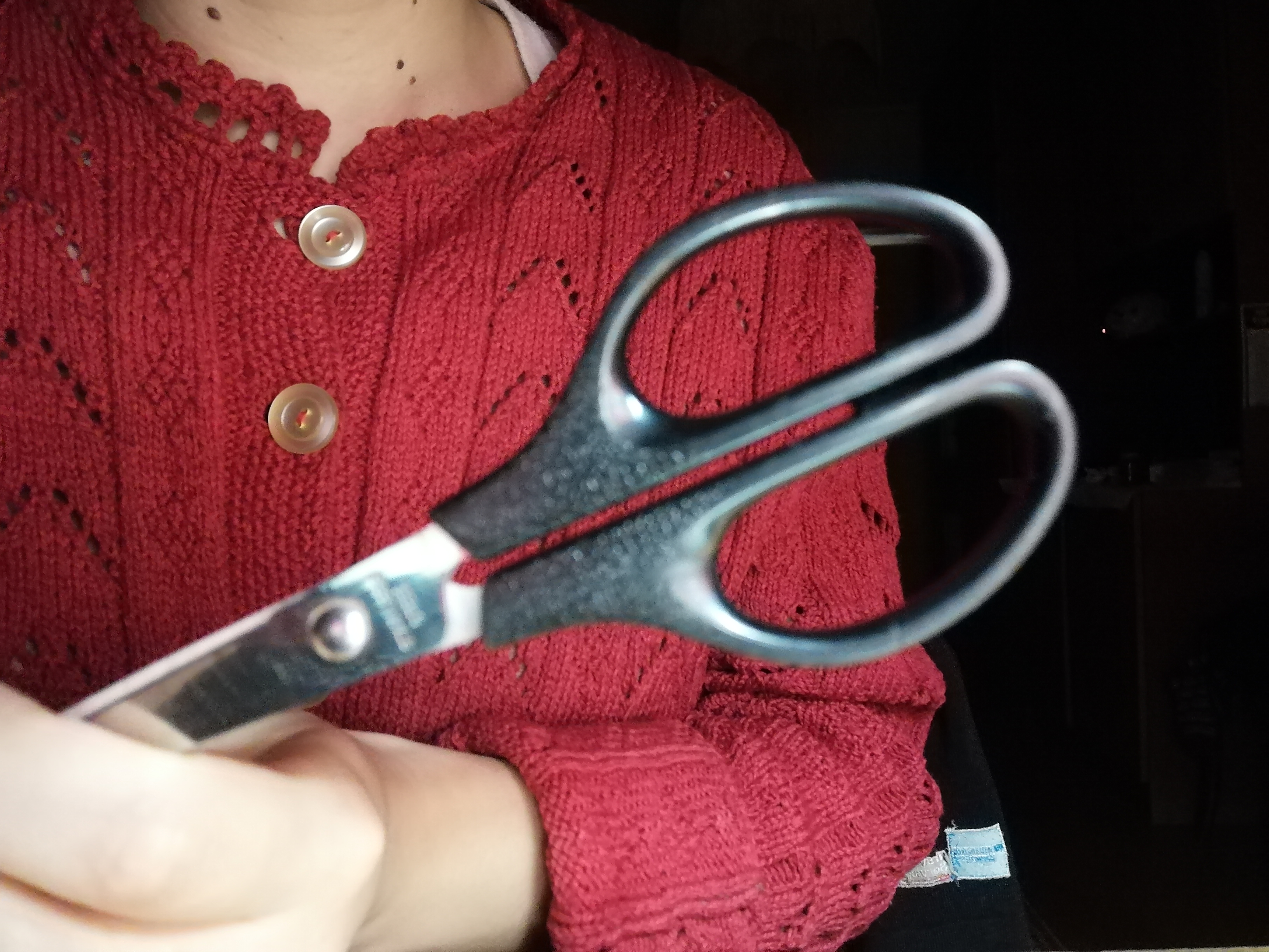 Scissors Object Detection Dataset by VSTU
