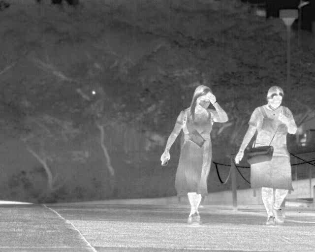 all_AV Object Detection Dataset by AVpublic