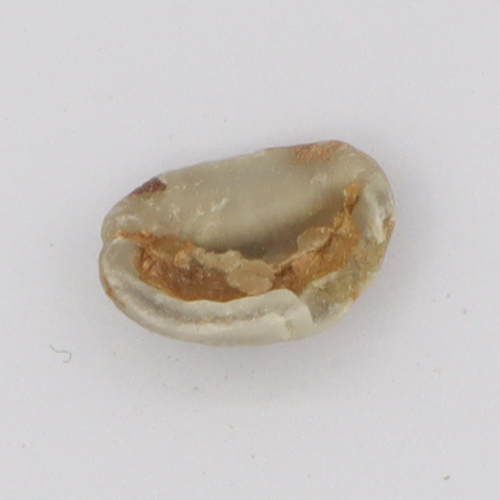 GCB Defect Detection Classification Dataset by Green Coffee Bean Defects