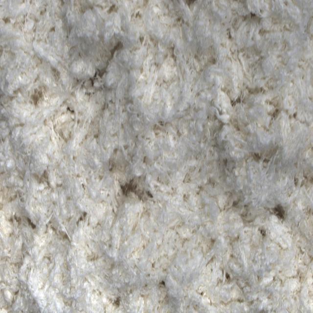 Complete Data set Object Detection Dataset by Choice Solutions