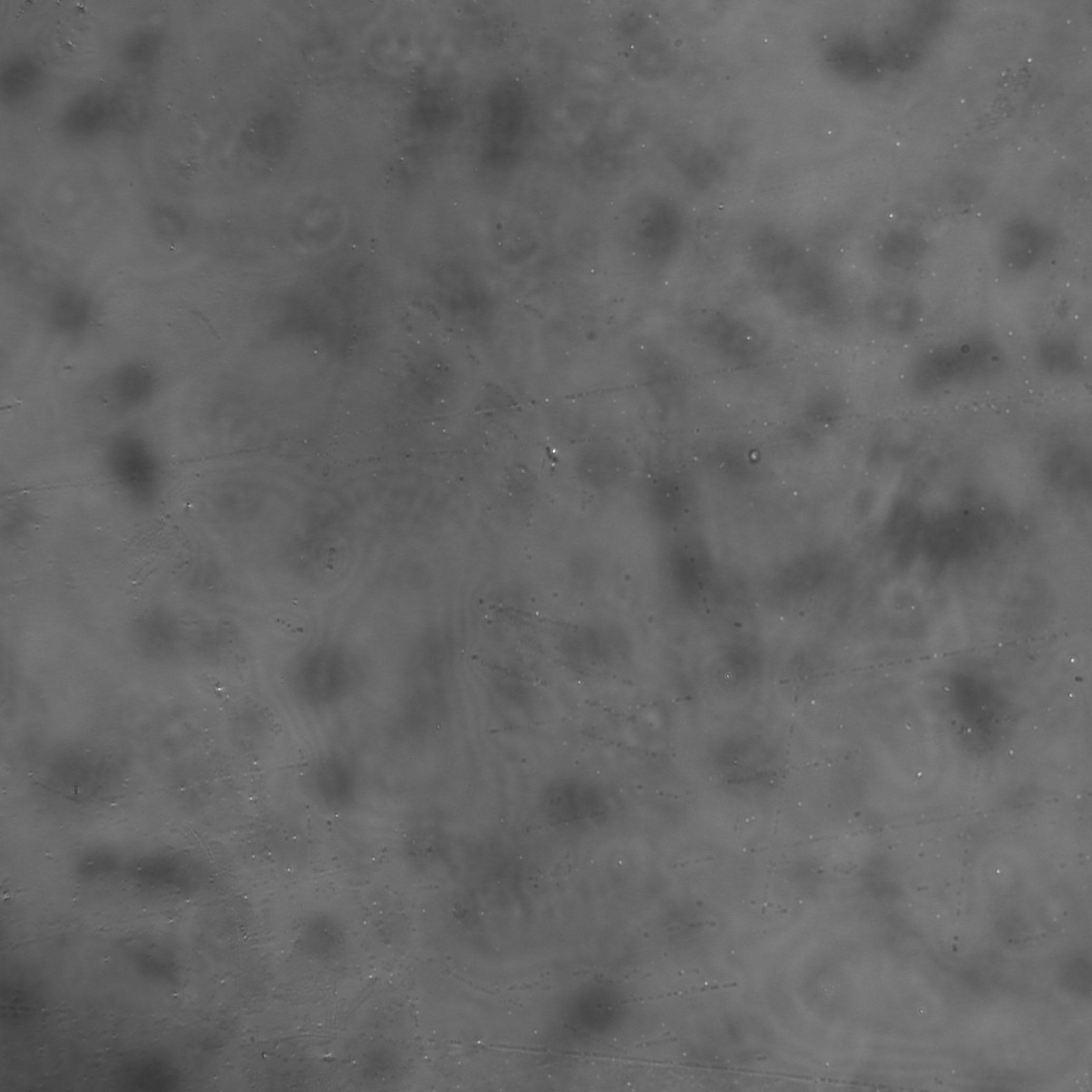 Cell Detection From Matrix Object Detection Dataset By Sara