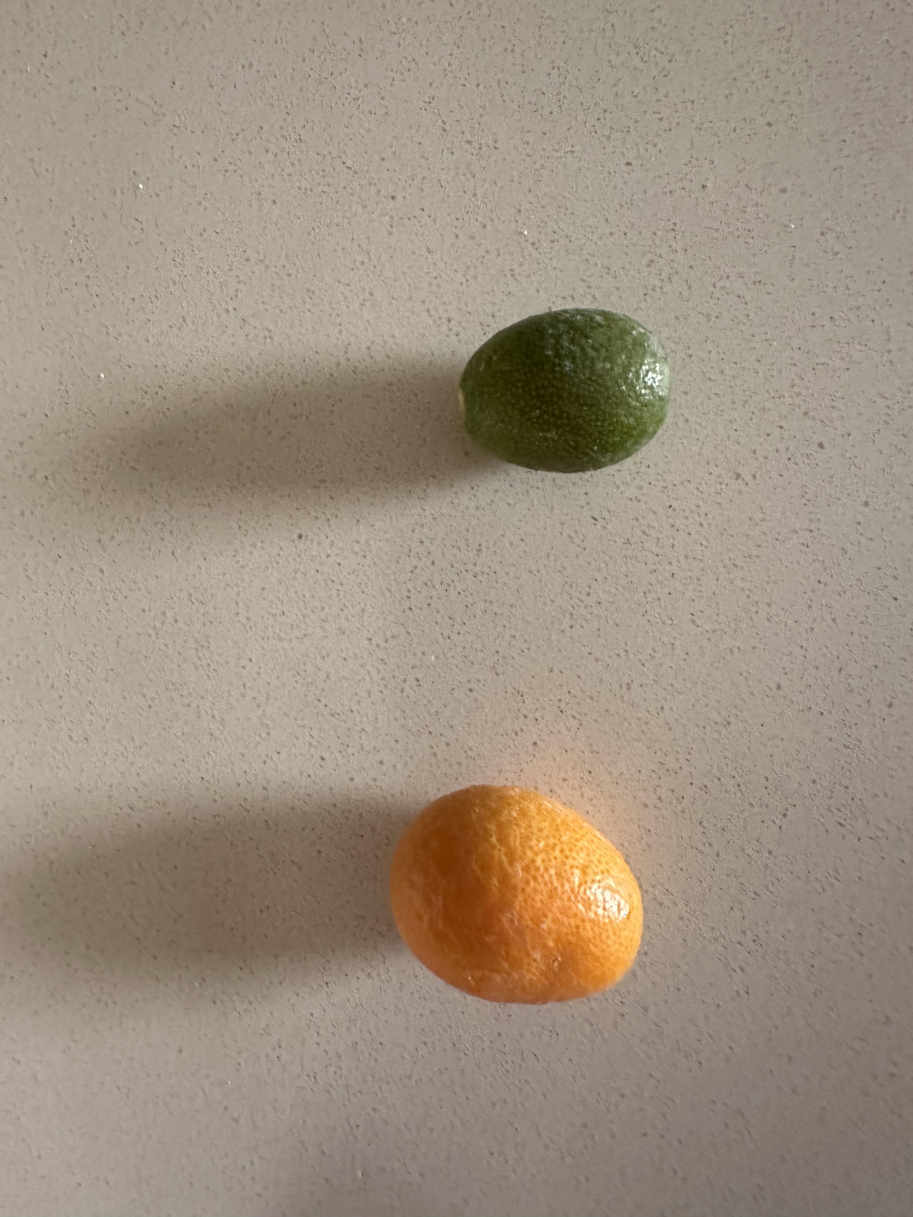 project Object Detection Model by strawberryforever