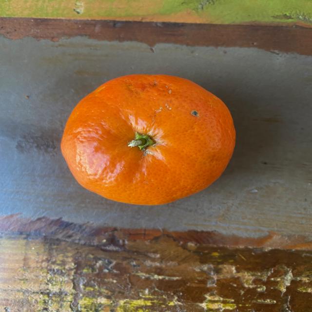 Mandarin Detection Object Detection Dataset and Pre-Trained Model by Hochschule Dueseldorf