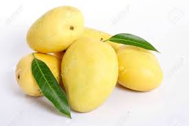 Mango-Detection Object Detection Dataset and Pre-Trained Model by mangoes