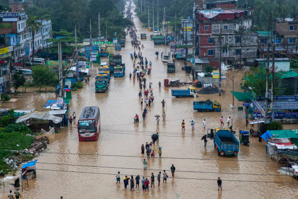 Flood Affected People Dataset Object Detection Dataset And Pre Trained Model By Inaya