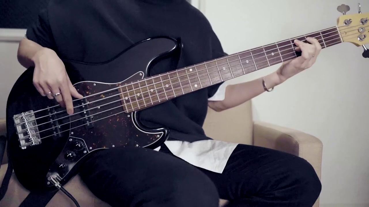 Bassguitar Parts Dataset Object Detection Dataset And Pre Trained Model By Yolov9
