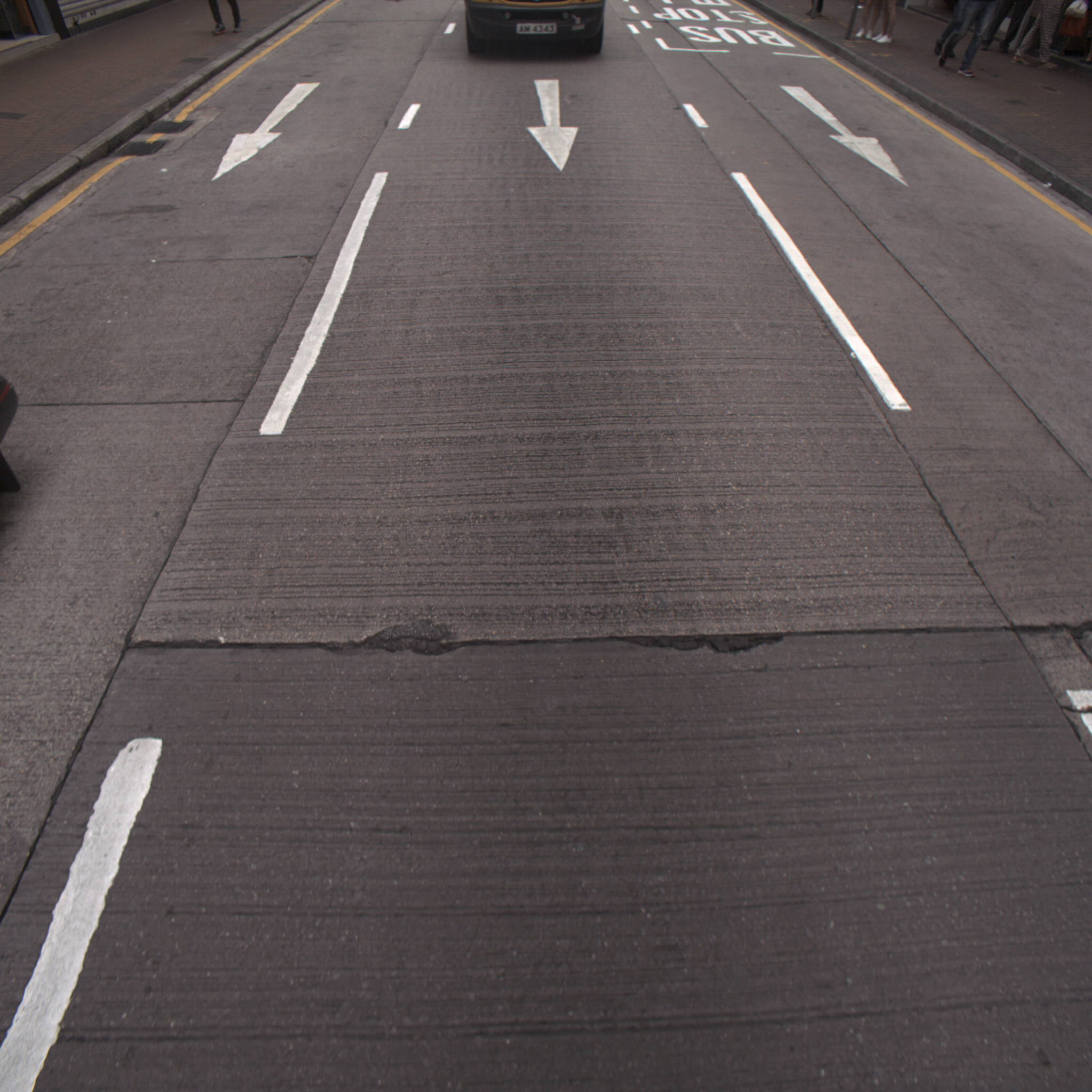 FYP5 Instance Segmentation Dataset by new-workspace-w4dhy