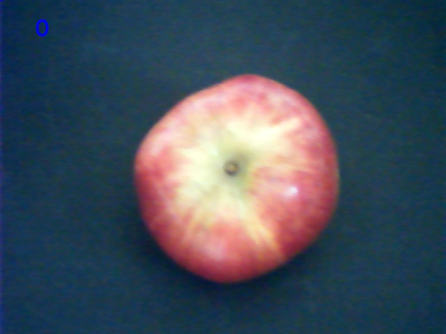 fruit disease Object Detection Dataset by EWITDISEASEDETECTER2024