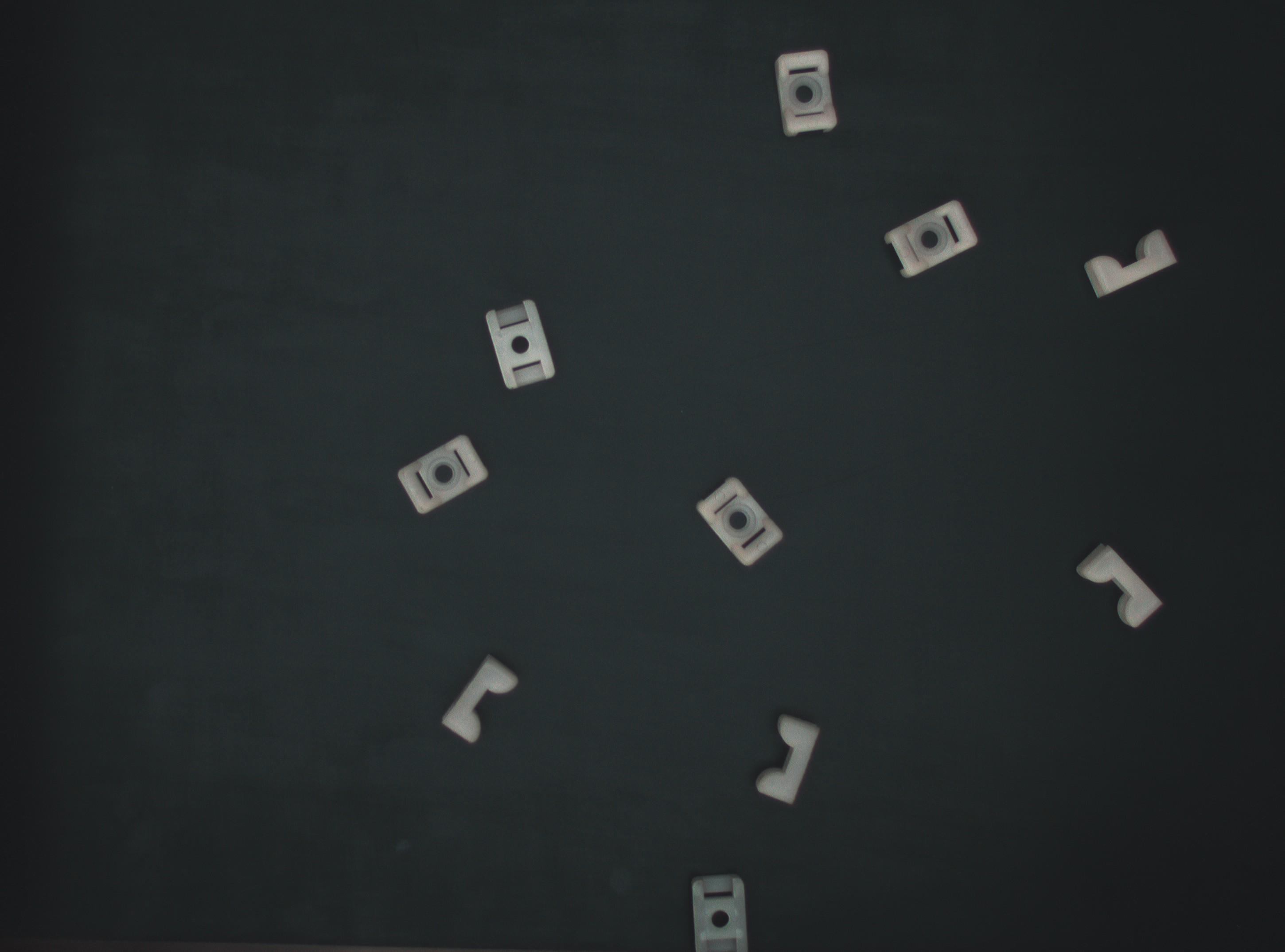 PBL Instance Segmentation Dataset and Pre-Trained Model by DaNang university