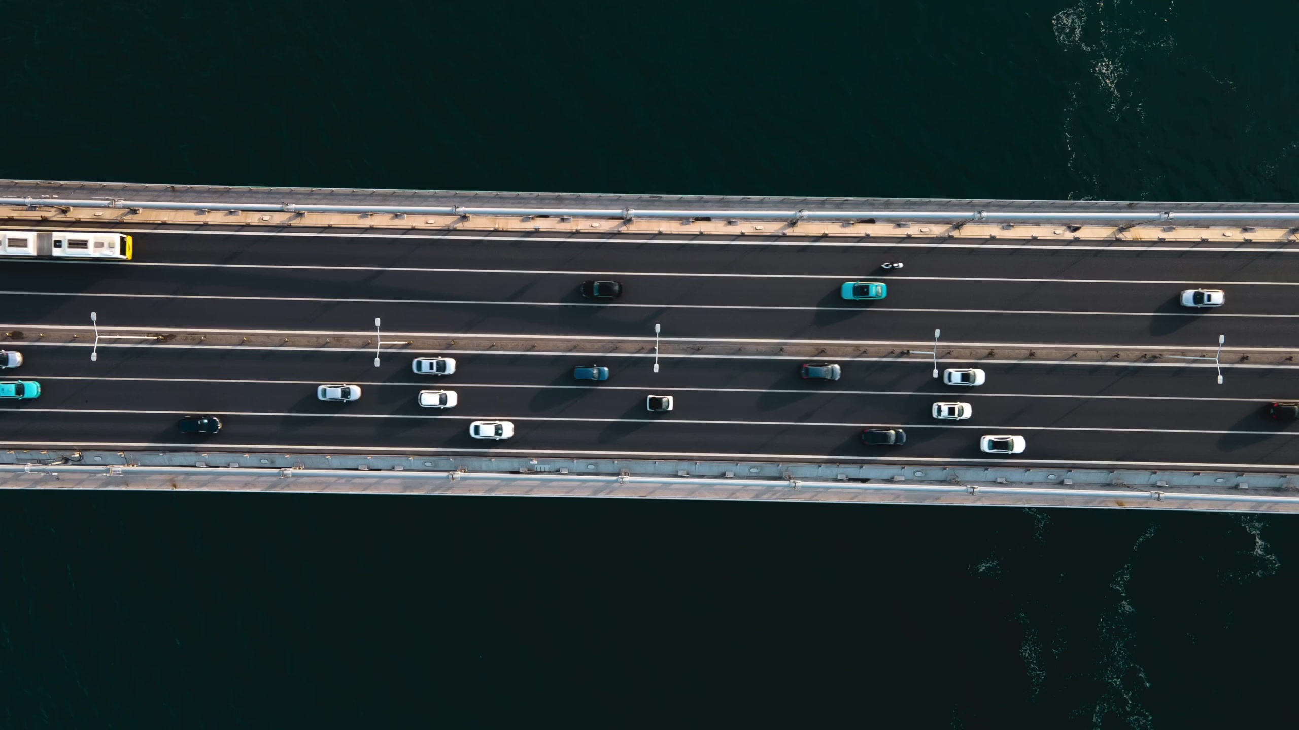 label Object Detection Dataset and Pre-Trained Model by kunt