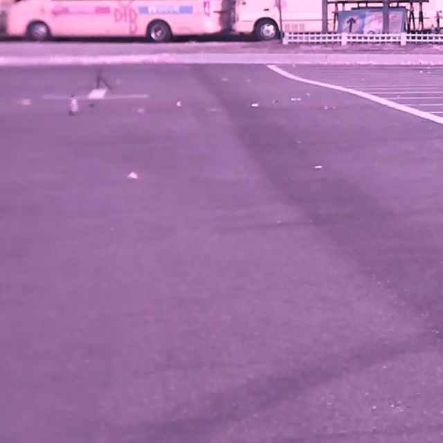 FOD Object Detection Dataset and Pre-Trained Model by school