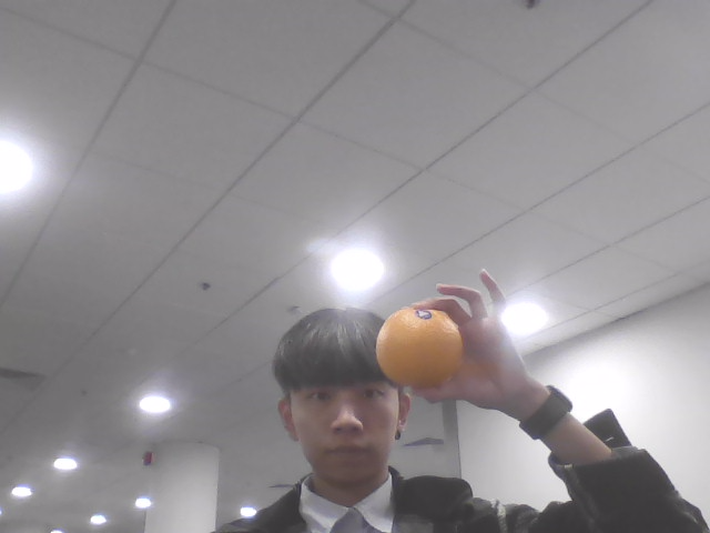 Fruit Dataset Comp5544 Object Detection Dataset And Pre Trained Model