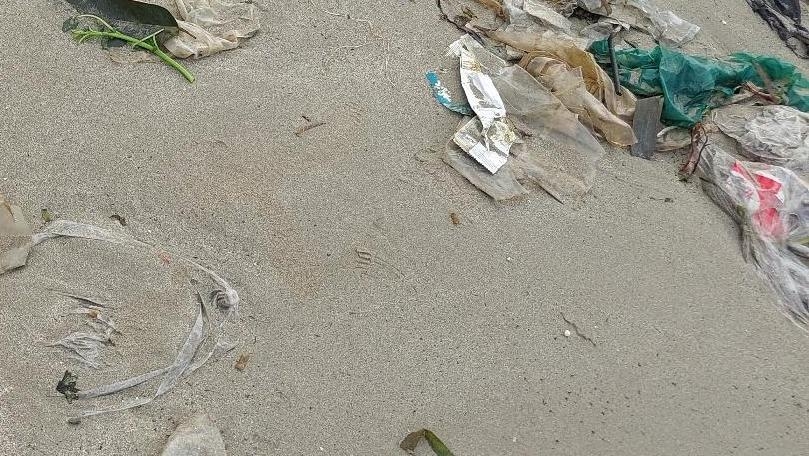 hibah_lowres_fix Instance Segmentation Dataset and Pre-Trained Model by hibah