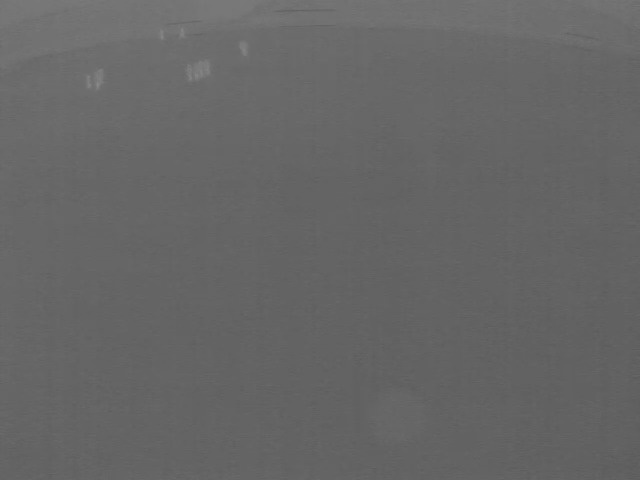 AAUPD Object Detection Dataset and Pre-Trained Model by siri