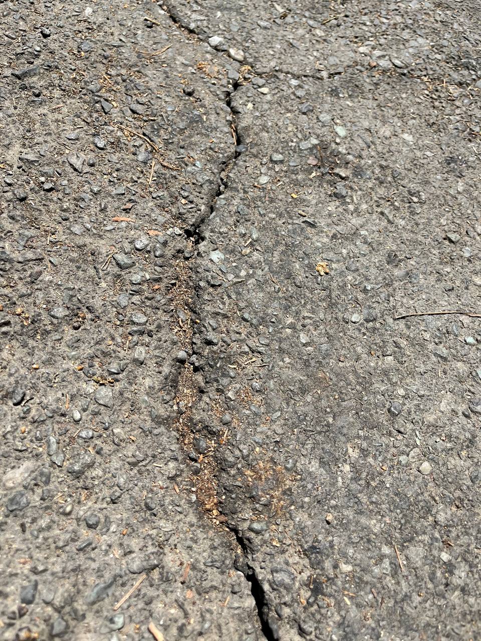 CV Project (cv-project-piumb) - Roboflow Universe