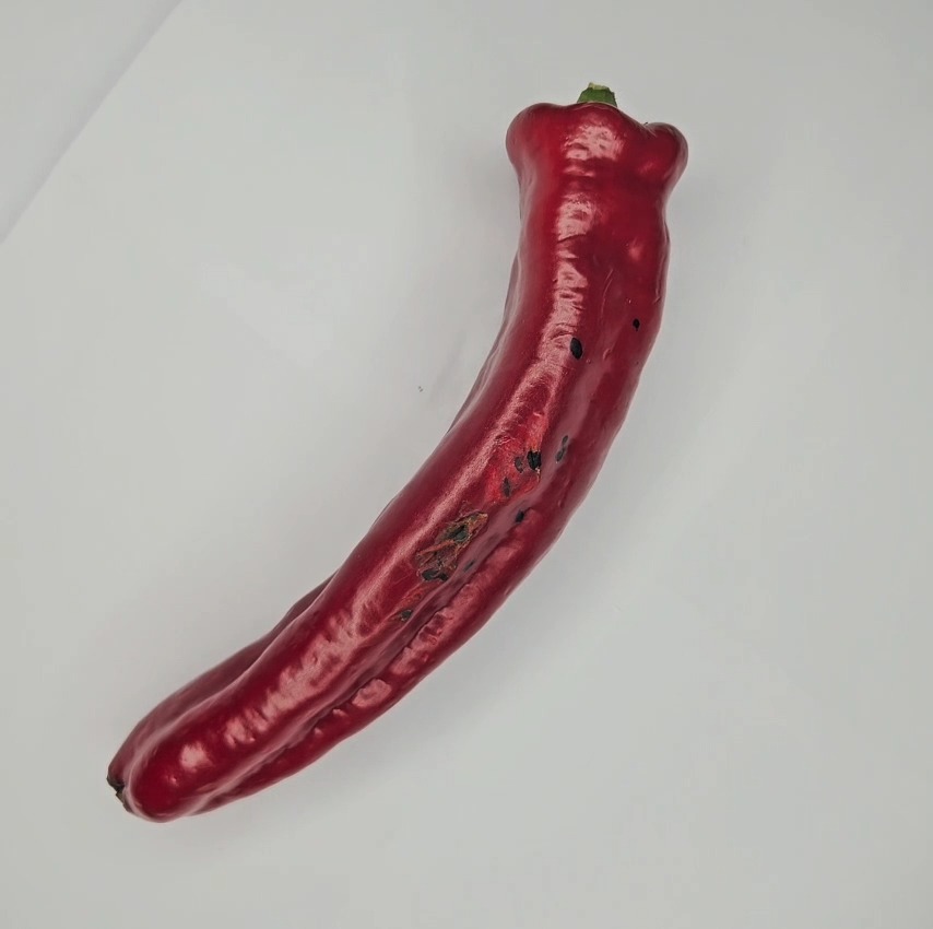 task2 Object Detection Model by fi