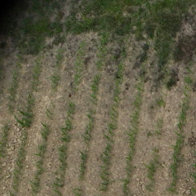 train_yolo_bbox Object Detection Dataset by Thiago Orlando