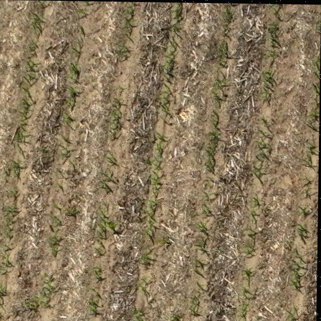 train_yolo_bbox Object Detection Dataset by Thiago Orlando