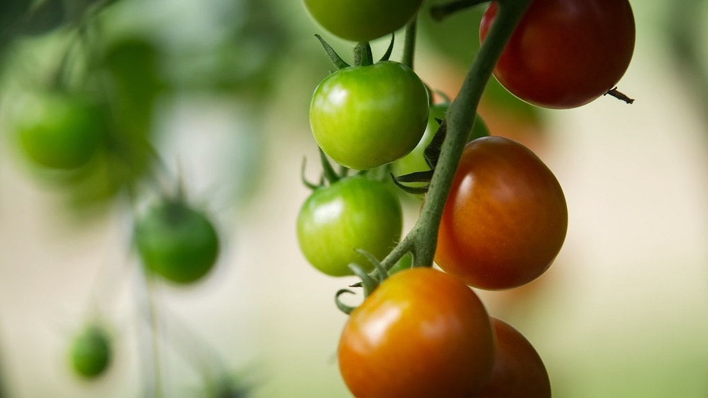 bigdata 2 Object Detection Model by DuyNg