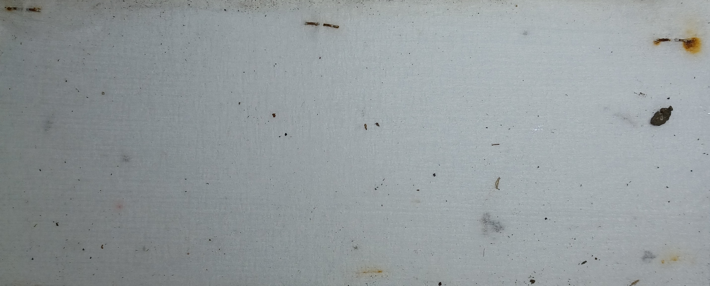 Egg Detect Object Detection Dataset And Pre Trained Model By Objectdetection