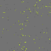 Constellations-Detector Object Detection Dataset by APM