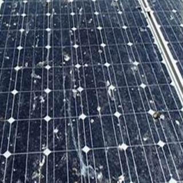 Solar Panel Damage Detection New Object Detection Dataset and Pre ...