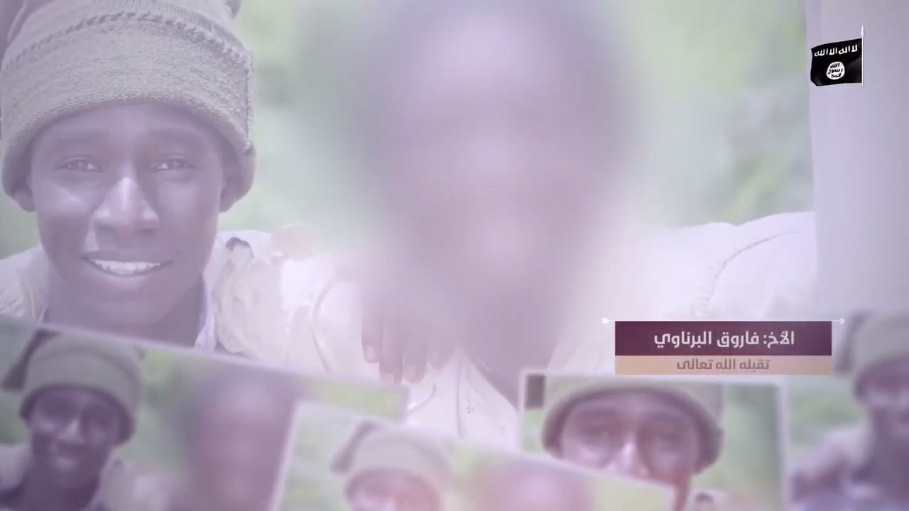 isis_flags Object Detection Model by flags