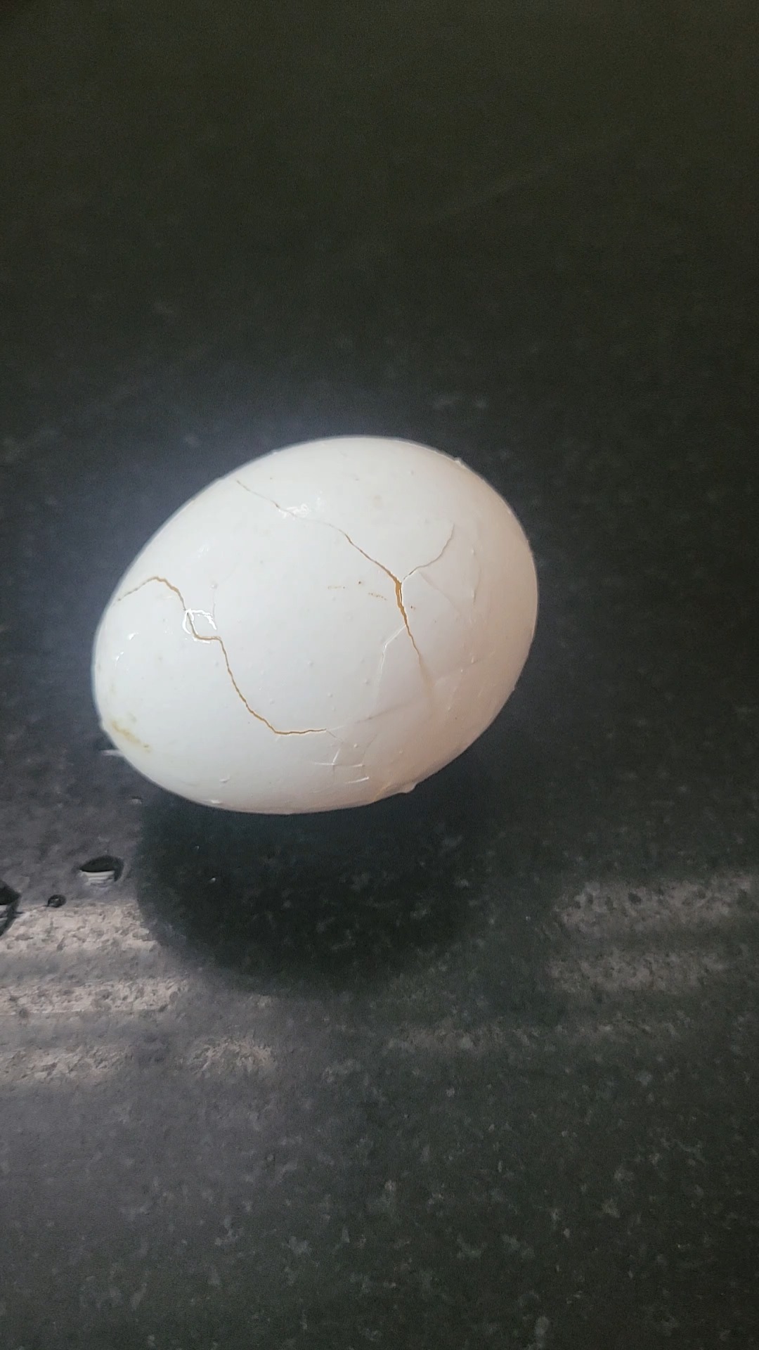 Egg Crack Detection Object Detection Dataset By Multipipedetection