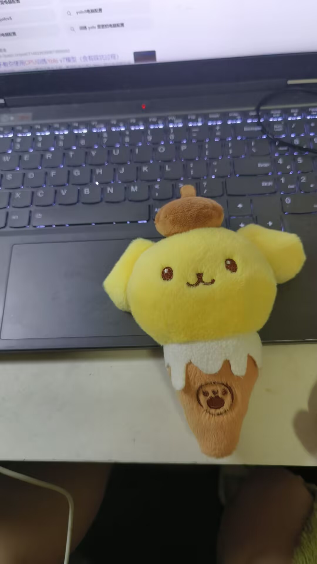 small icecream Object Detection Model by Province garbage