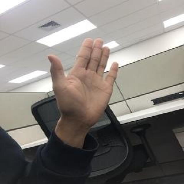 Practice1 Object Detection Dataset And Pre Trained Model By Workspace 1