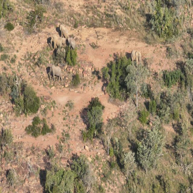 WAID Object Detection Dataset and Pre-Trained Model by altaf