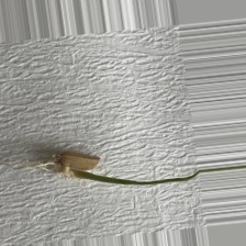 Rice Seed Germination Object Detection Dataset by rice seed germination