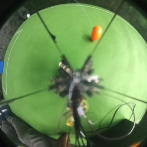 Detect Ball 2 - Roboflow Universe