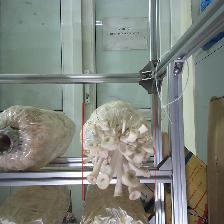 Agrivision Mushroom Object Detection Dataset V18 No Argumenting By