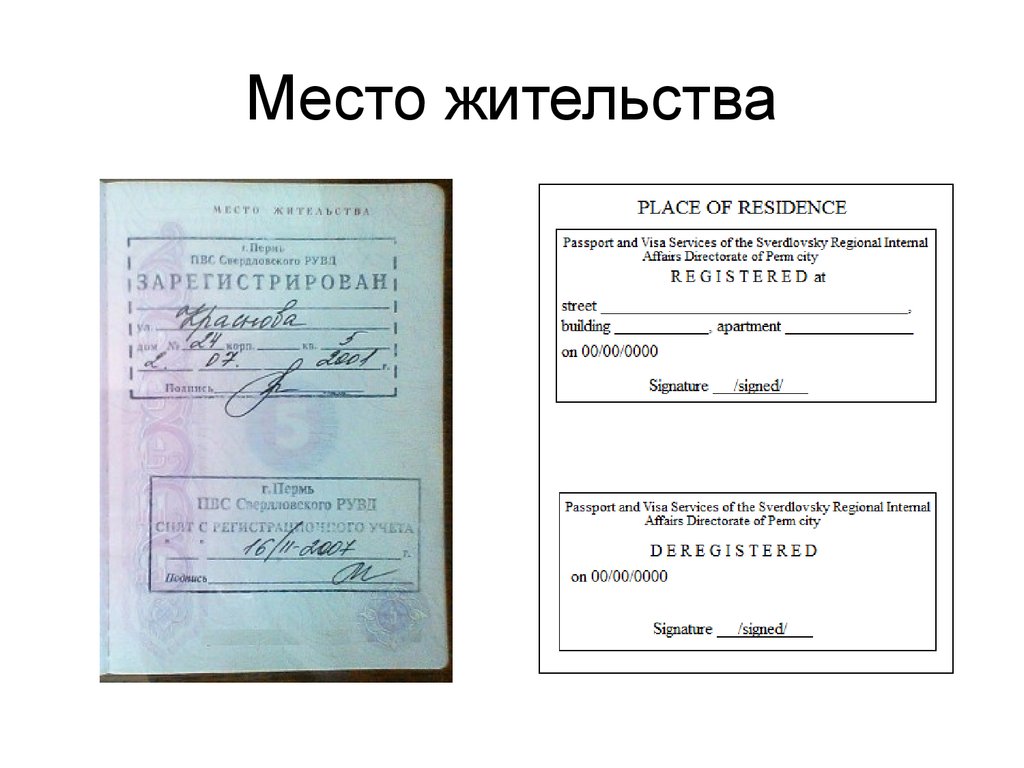 Document segmentation v2 Instance Segmentation Dataset by GreenData