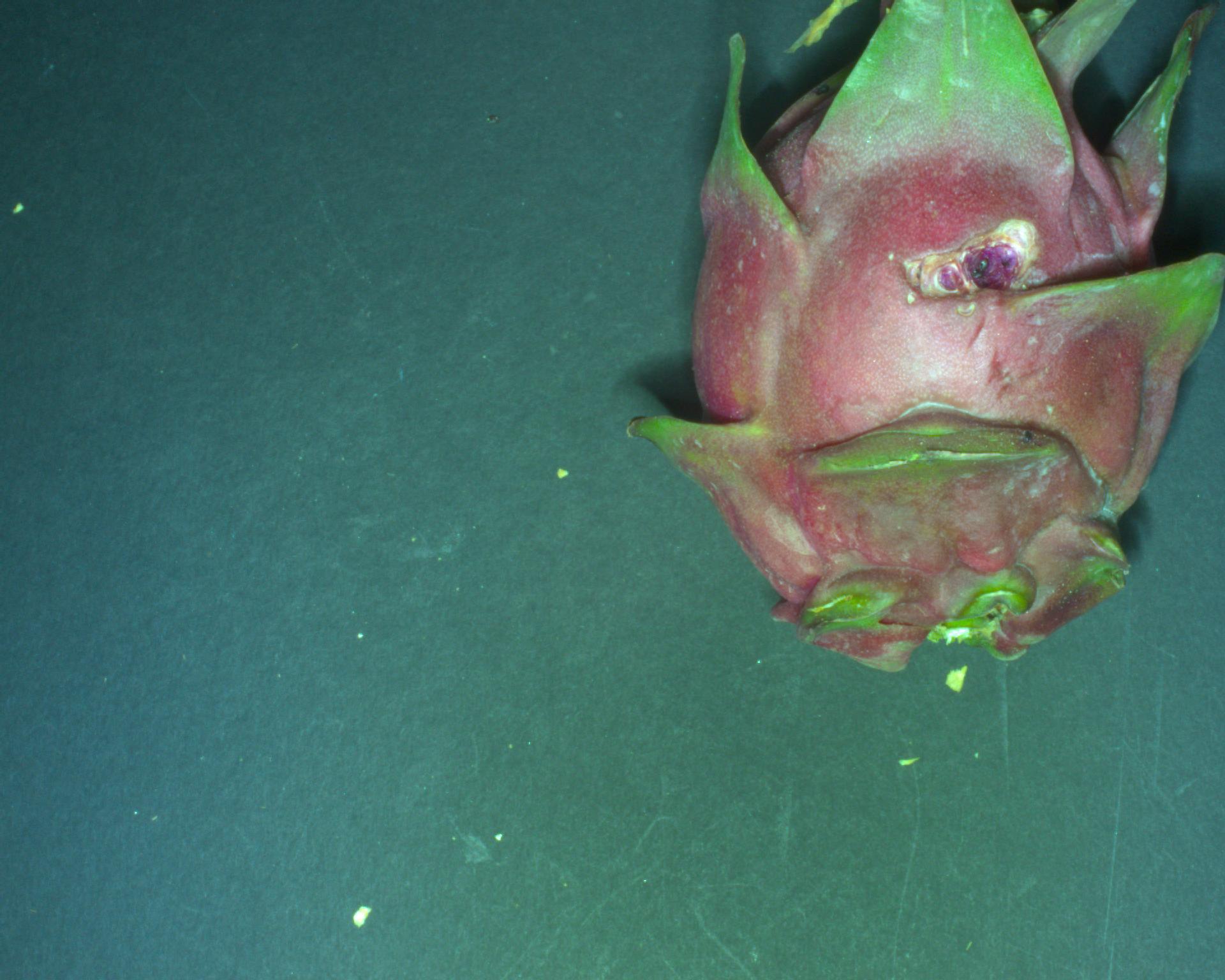 azureen_final Object Detection Dataset by Dragon fruit