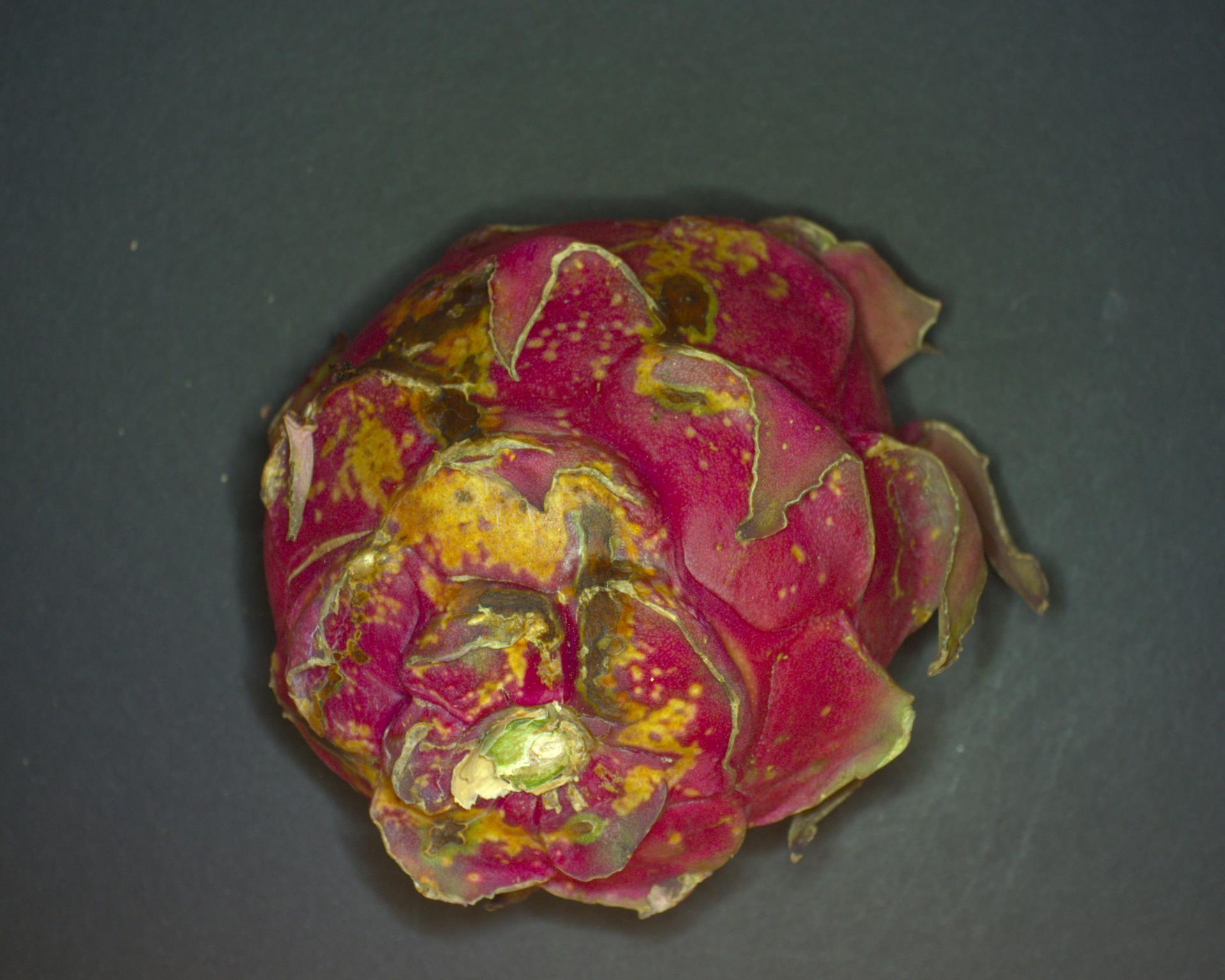 Rejected Object Detection Dataset By Dragon Fruit