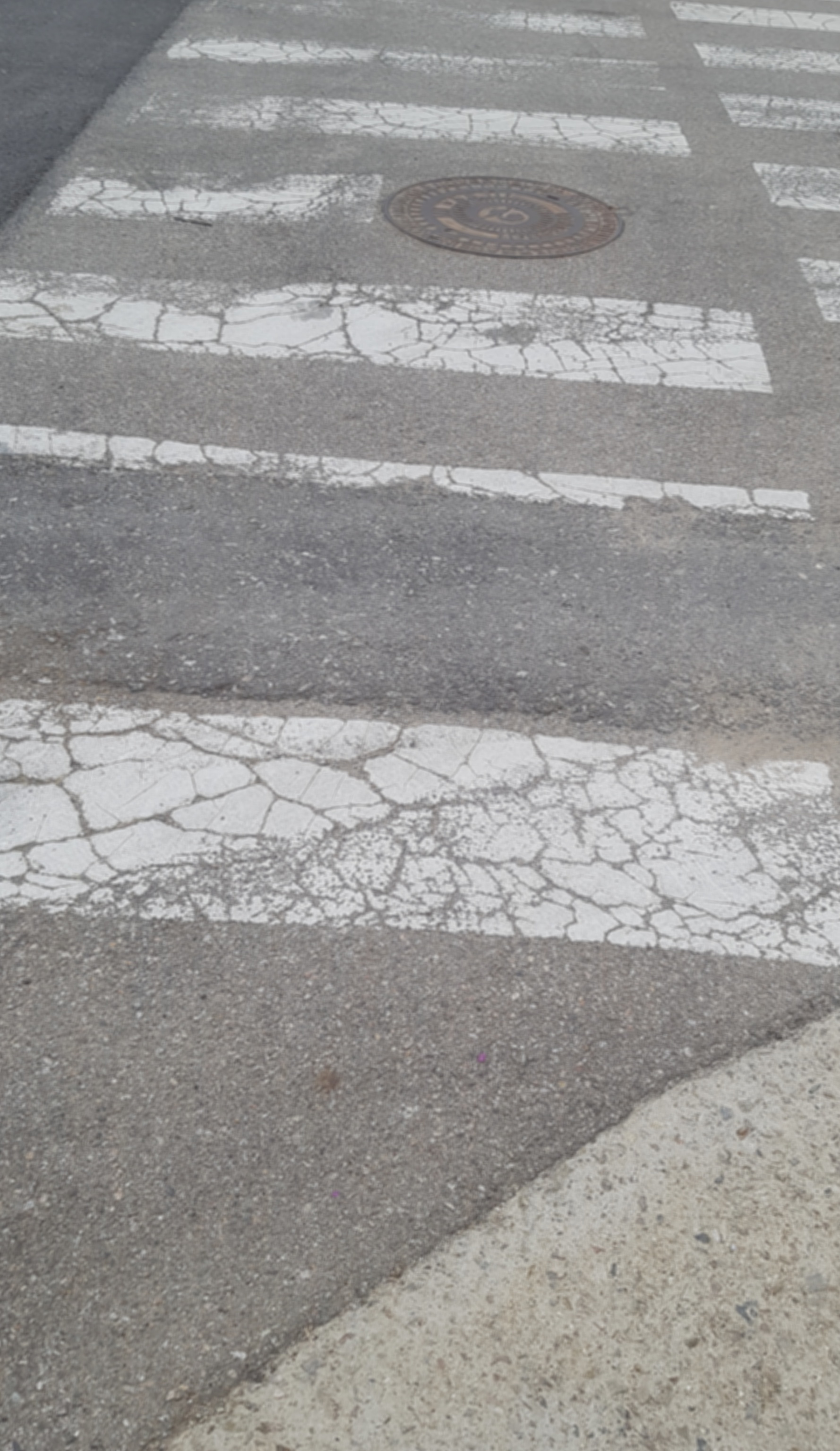 Valid_Road Object Detection Dataset by FucDrone