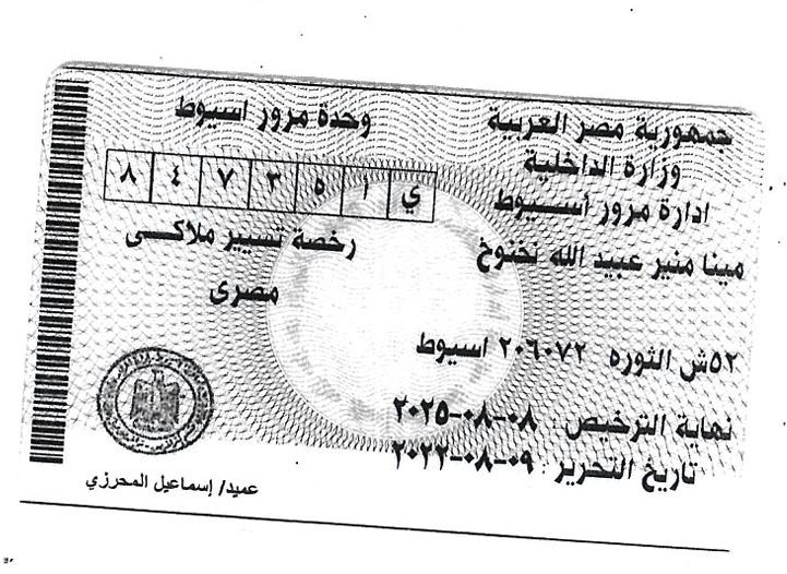 Front License Instance Segmentation Dataset By Object Detection In Shelf Images With Yolo