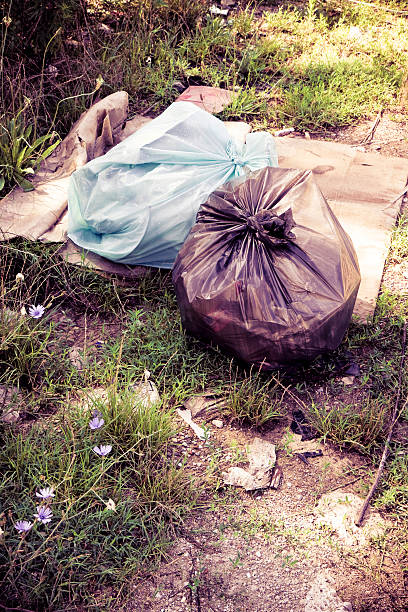 Plastic Waste Detection Object Detection Model by ABV IIITM