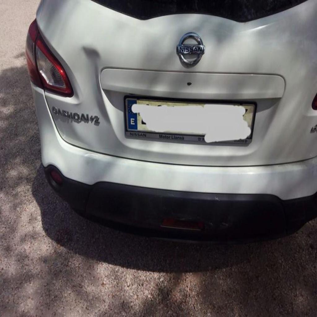 Rex Solution - Roboflow Universe