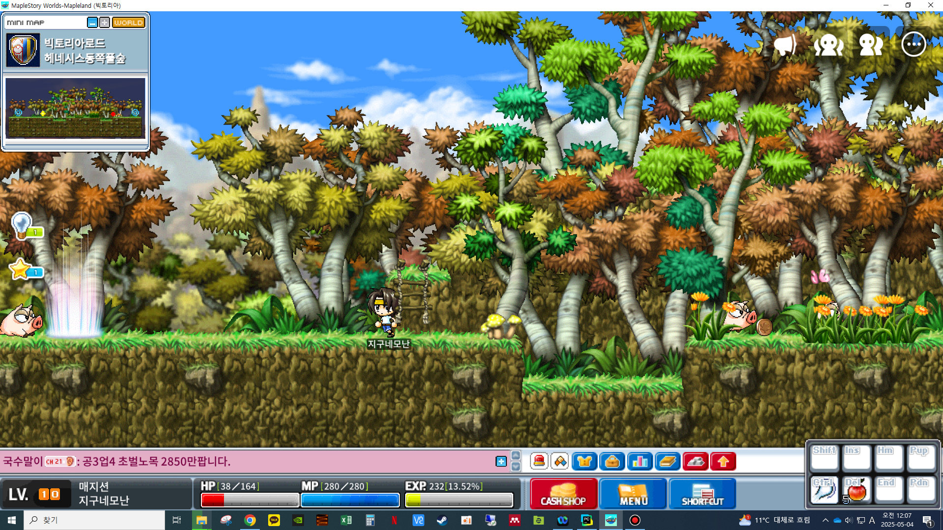 maplestory Object Detection Model by maplesotry
