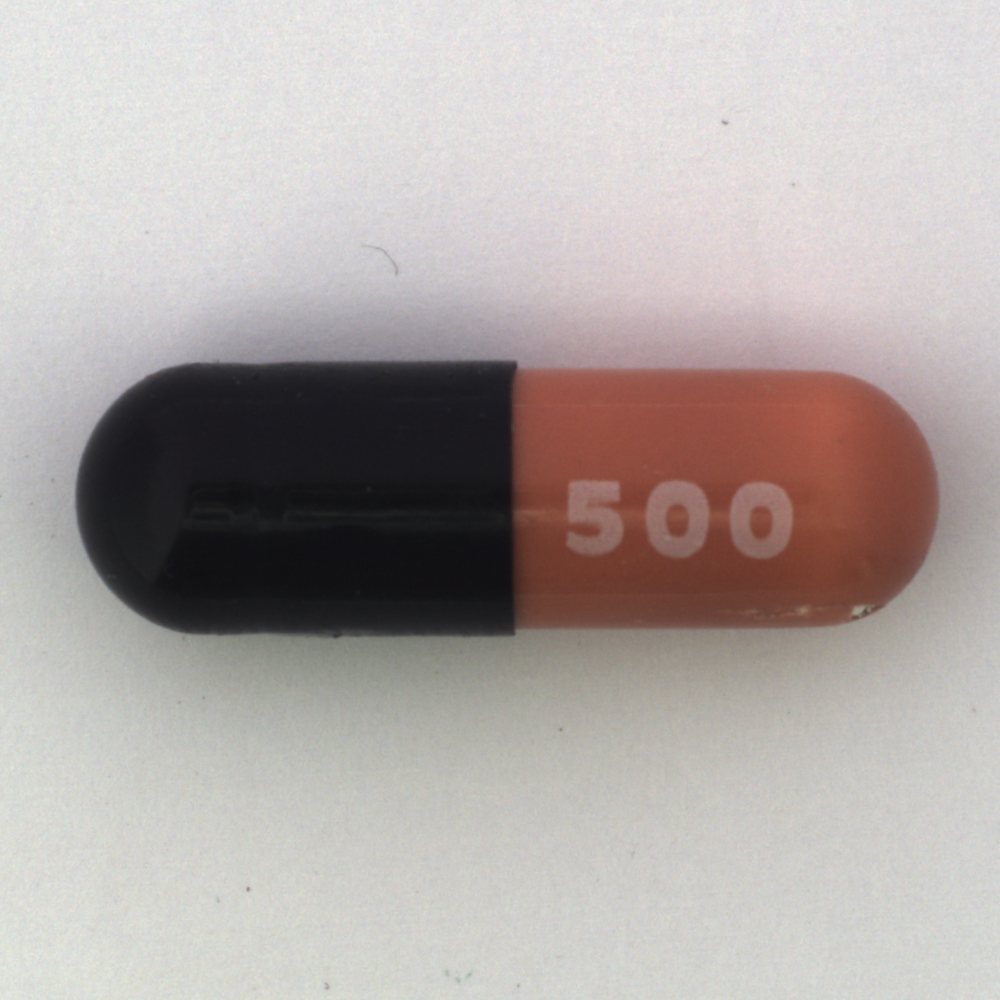 Pill Classification Classification Model by HXG
