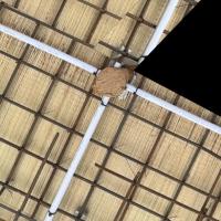 Expo2 - Roboflow Universe