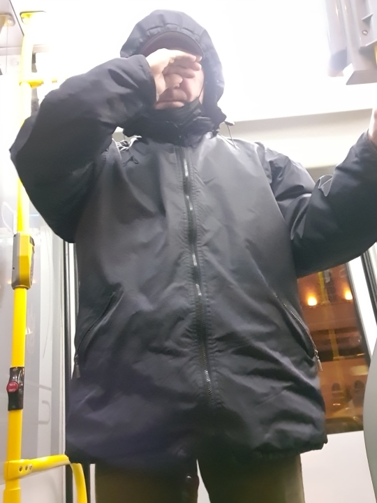 Hand Gestures Object Detection Dataset And Pre Trained Model By Labeling