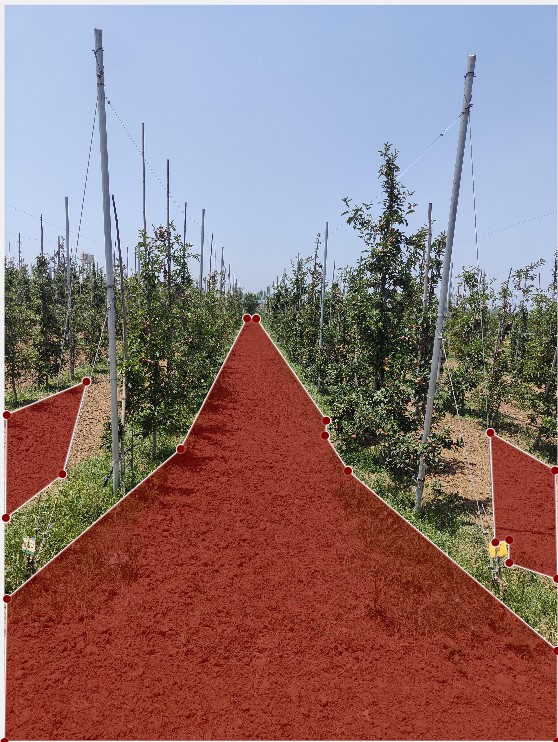 Path segmentation Instance Segmentation Dataset by cnh